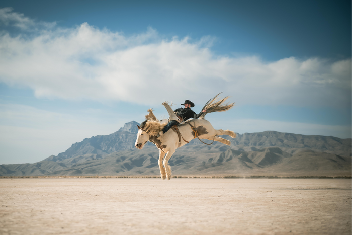 Official Kaycee Feild